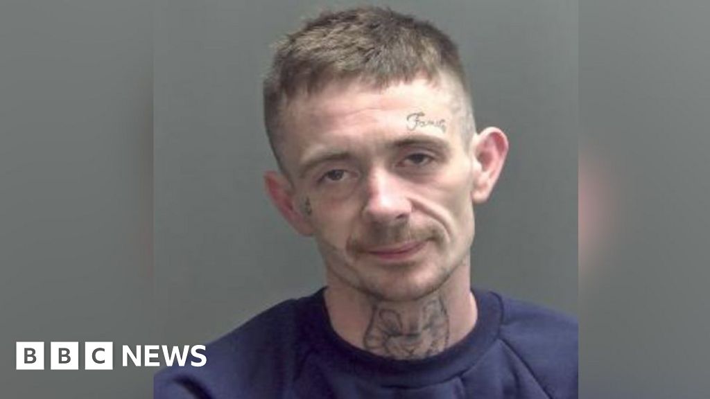 Wisbech burglar 'foiled' via tracker on van he stole