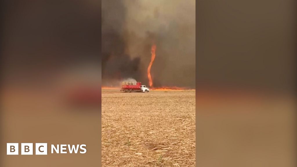 'Firenado' tears through sugarcane field - BBC News