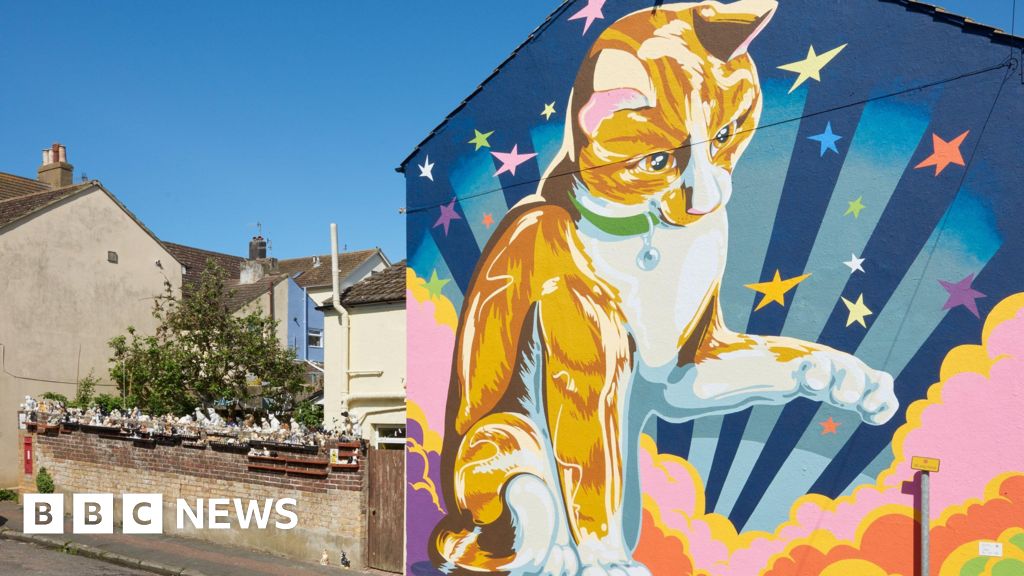 Newhaven: Colourful murals transform coastal town - BBC News