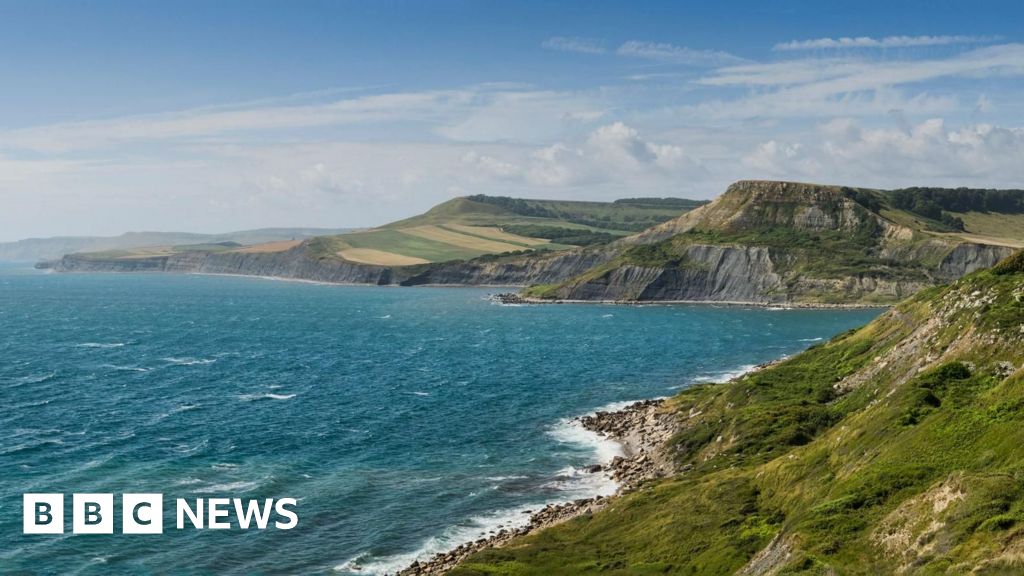 Dorset: Searches for missing diver stood down - BBC News