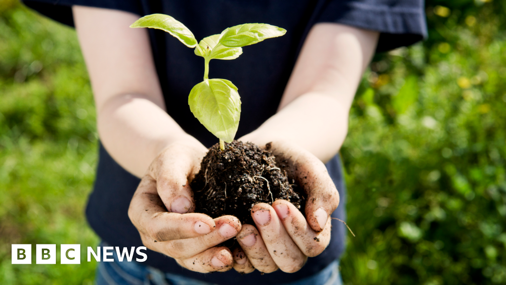 Peterborough project aims to empower youngsters through nature