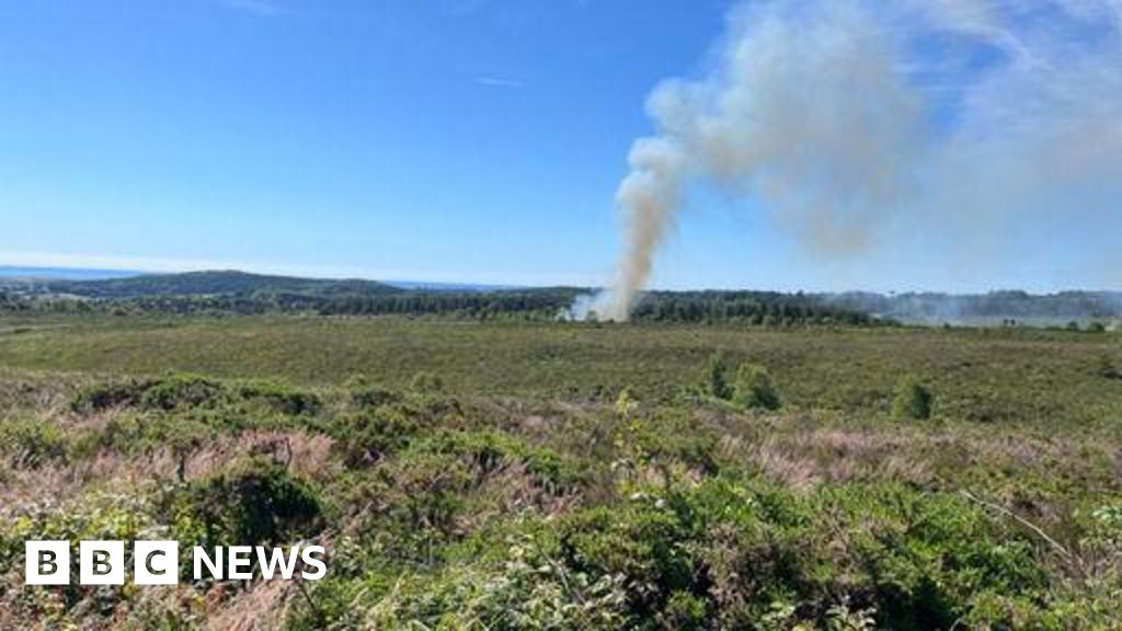 Firefighters put out heath fire at Exmouth in Devon - BBC News