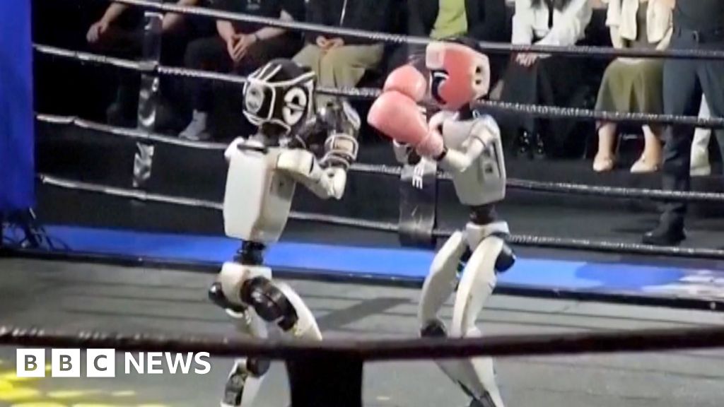 Humanoid robots fight in Chinese kick-boxing competition - BBC News
