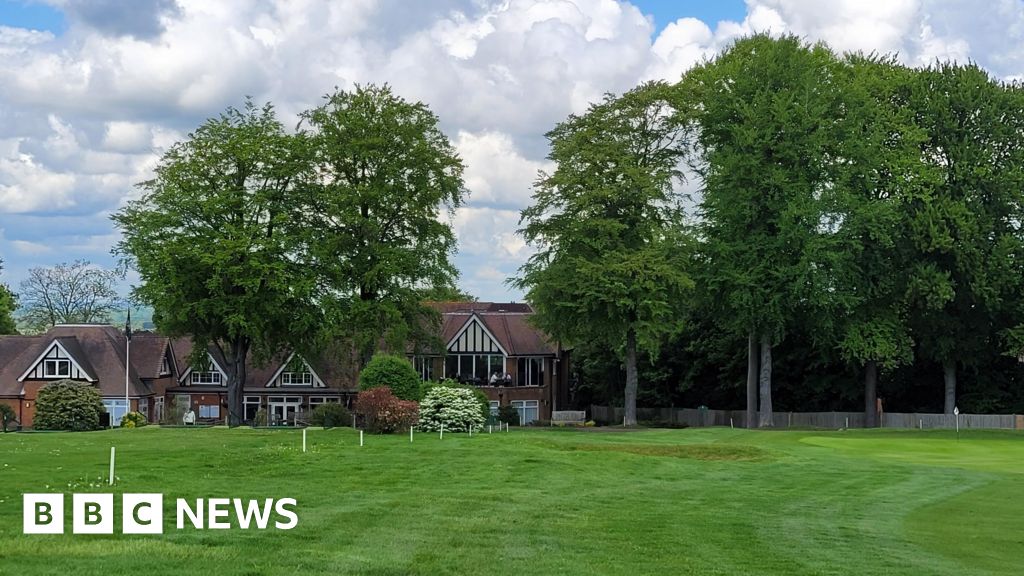 Guildford: Threatened beech trees saved following objections - BBC News