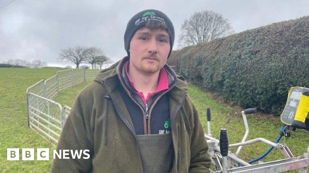 Bromsgrove farmer's heartbreak as lambs killed in dog attack