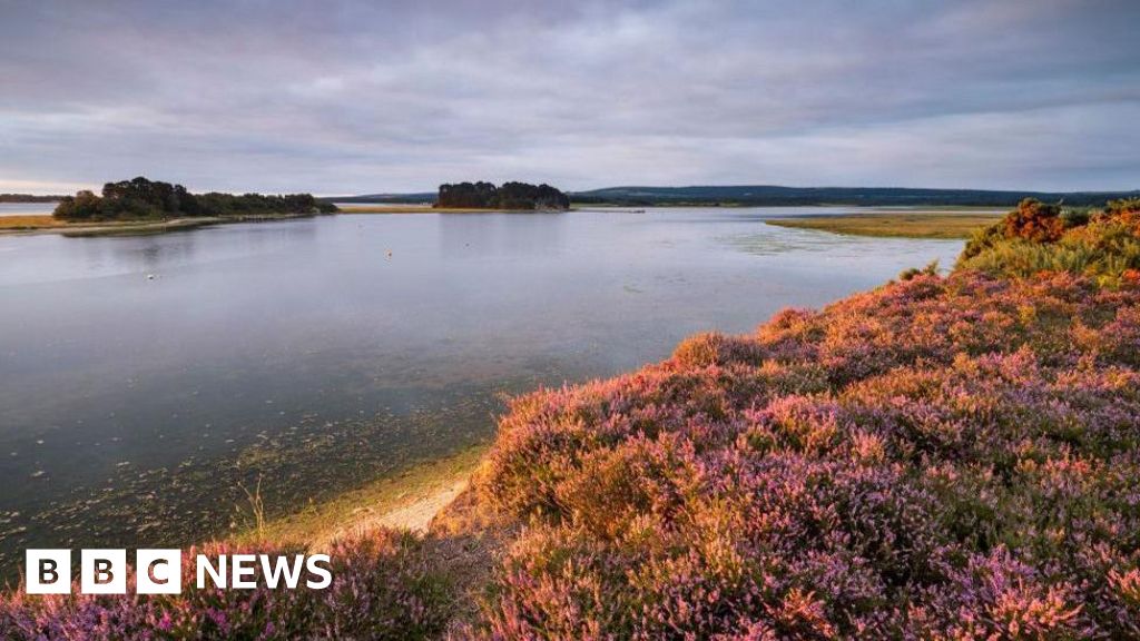 Brownsea Island to close as Storm Amy brings strong winds