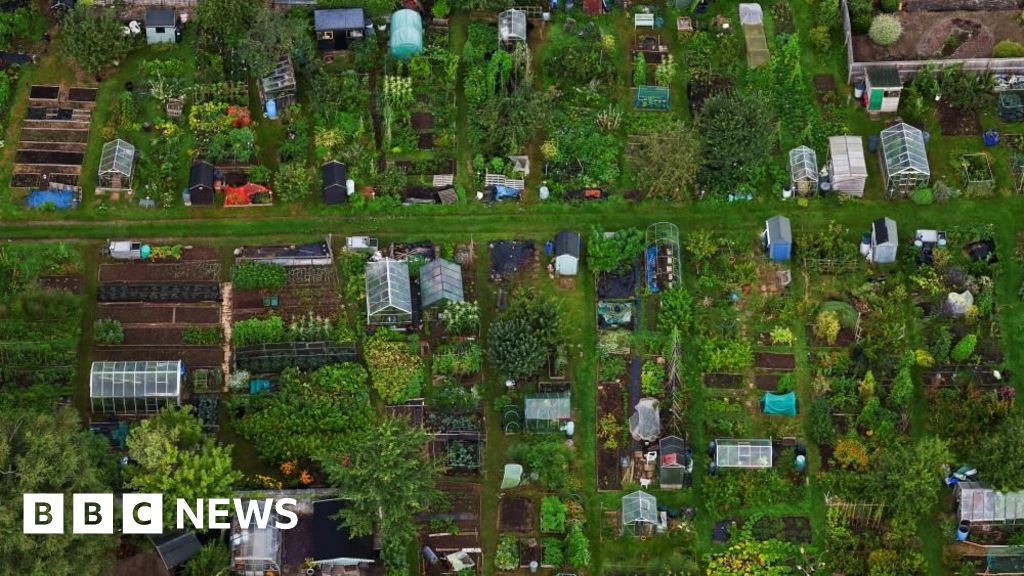 Bristol allotment rent increases lowered after backlash