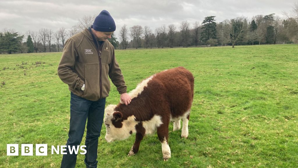 Northants farmer wants land to be better for next generation