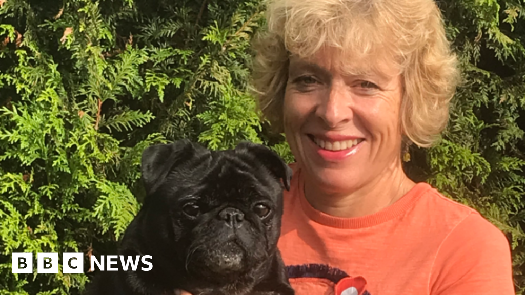 Somerset writer releases new children's novel based on Bond books - BBC ...