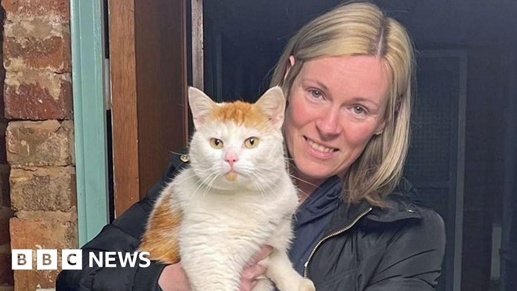 Missing Cumbernauld cat found 300 miles away in Coventry
