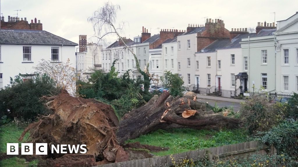 Man 'seriously hurt' by falling tree after storms batter West Midlands