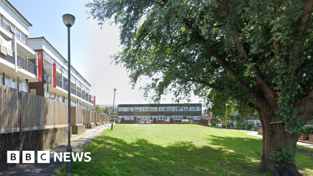 Mottingham: Met hunts for 'armed' teens after officer assaulted - BBC News