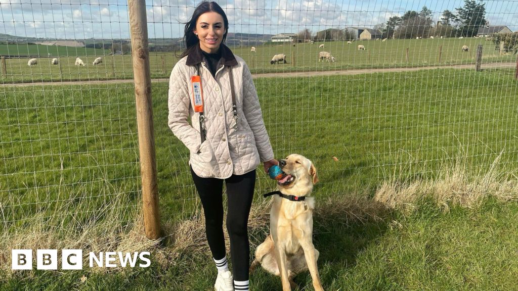 Call out for more guide dog fosterers in the North East - BBC News