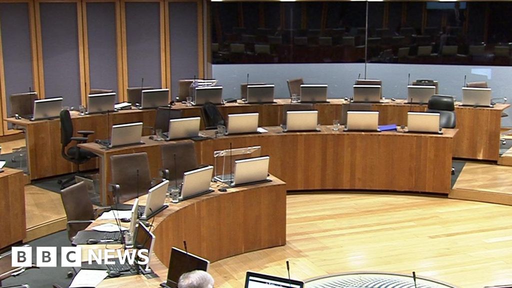 Tories absent as former leader told off in Senedd