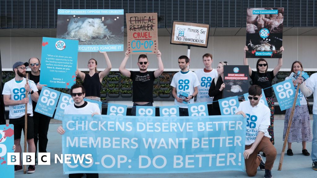 'Frankenchickens' protest disrupts Co-op's annual general meeting - BBC ...