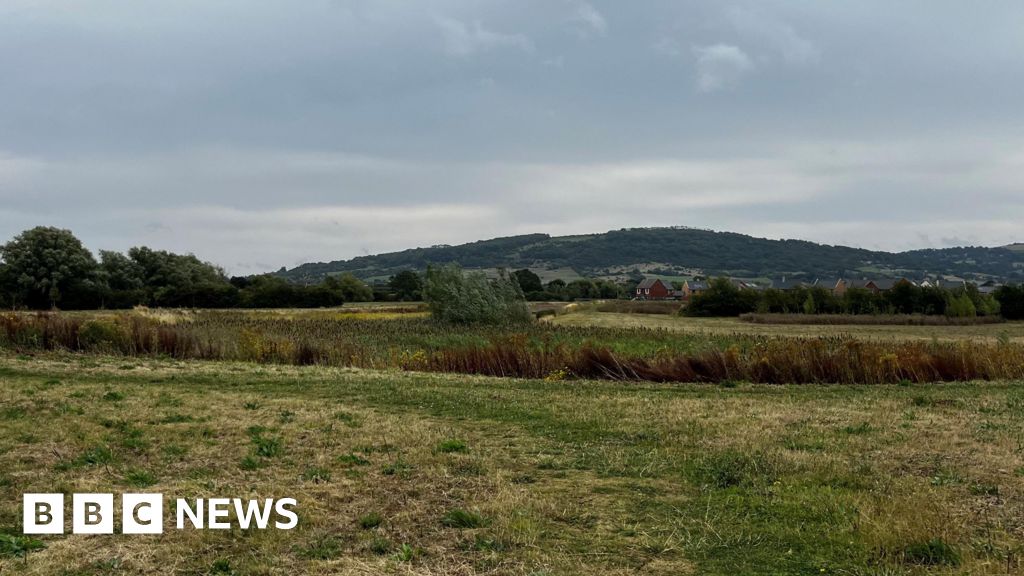 Warning after suspected toxin is causing dogs to fall ill