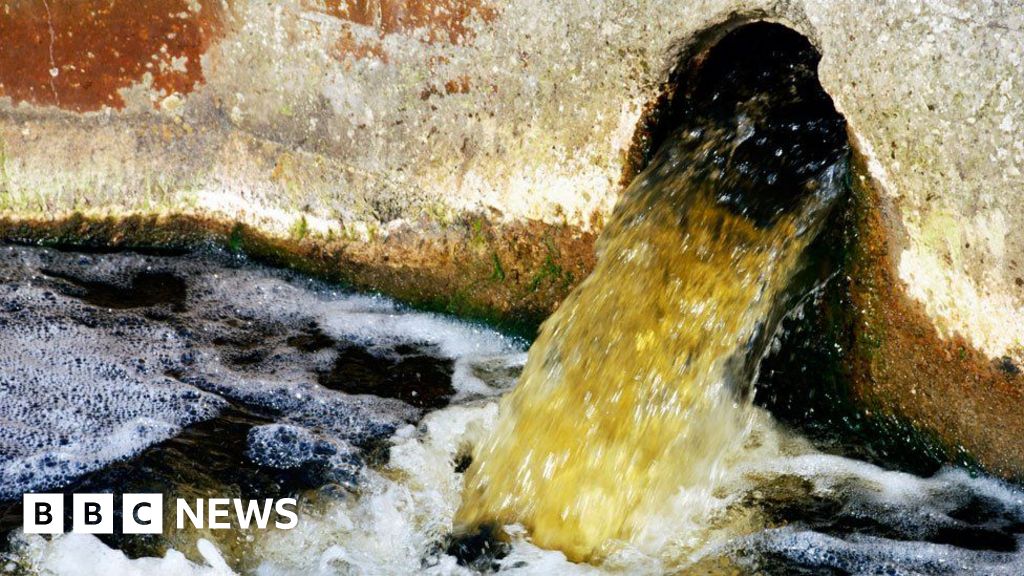 Treatment boss tells Welsh government to do more on water pollution