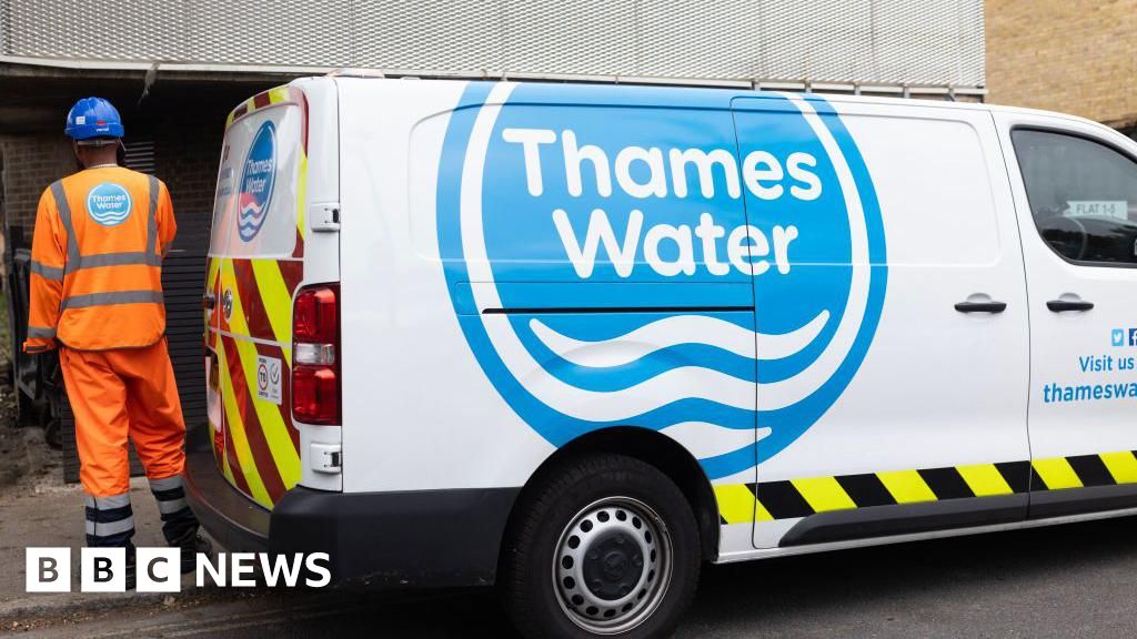 Thames Water declines to fund government anti-pollution scheme - BBC News