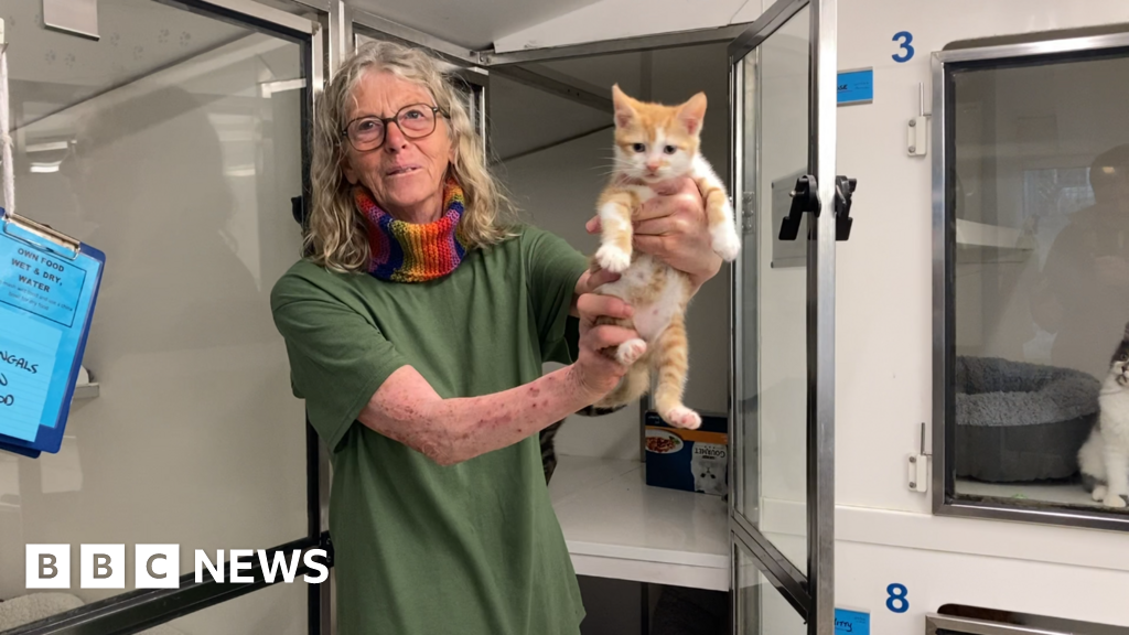 Guernsey Animal Aid to close down - BBC News