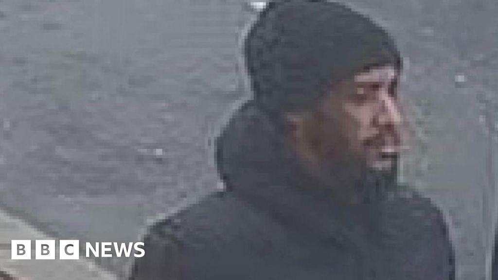 Search for man after seagull 'kicked to death' - BBC News