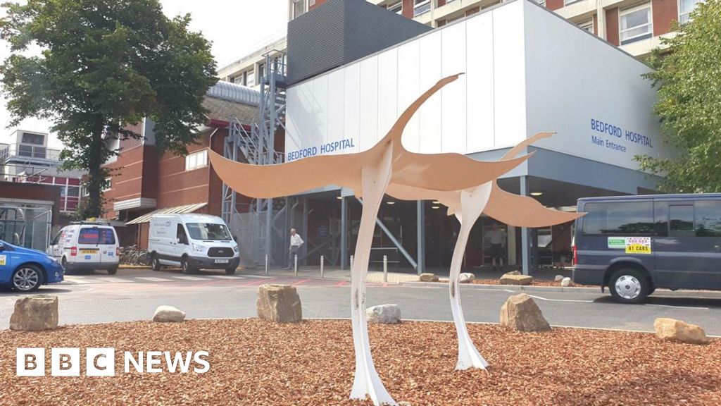 Out-of-action Bedford Hospital lifts lead to cancellations