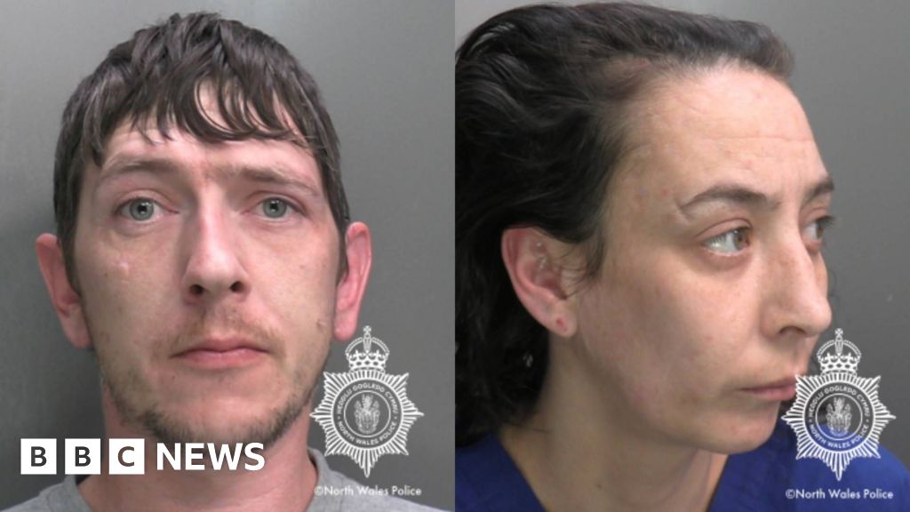 Japanese Akita attack leaves child seriously injured as couple jailed