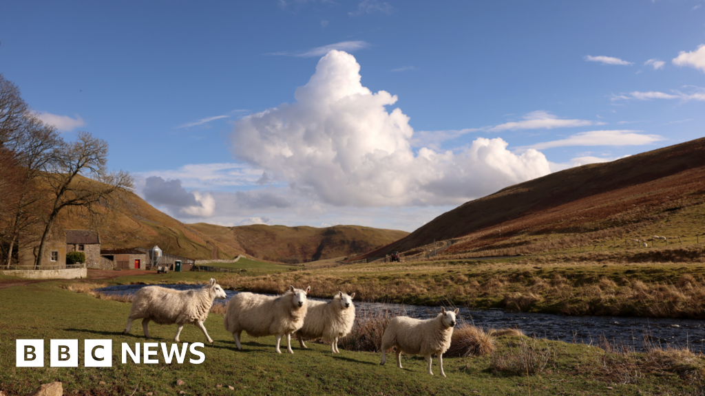 Remote Northumberland farms to get mains electricity
