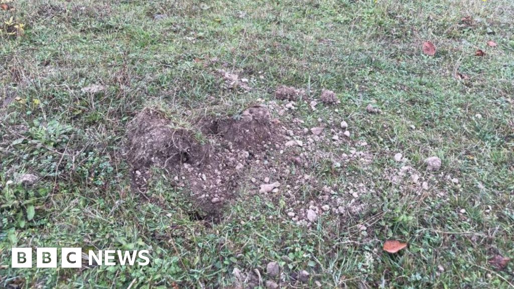 Detling: Warning after detectorists dig up nature reserve
