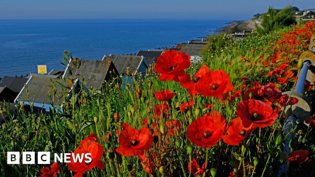 Yellow heat health alert given to East of England - BBC News