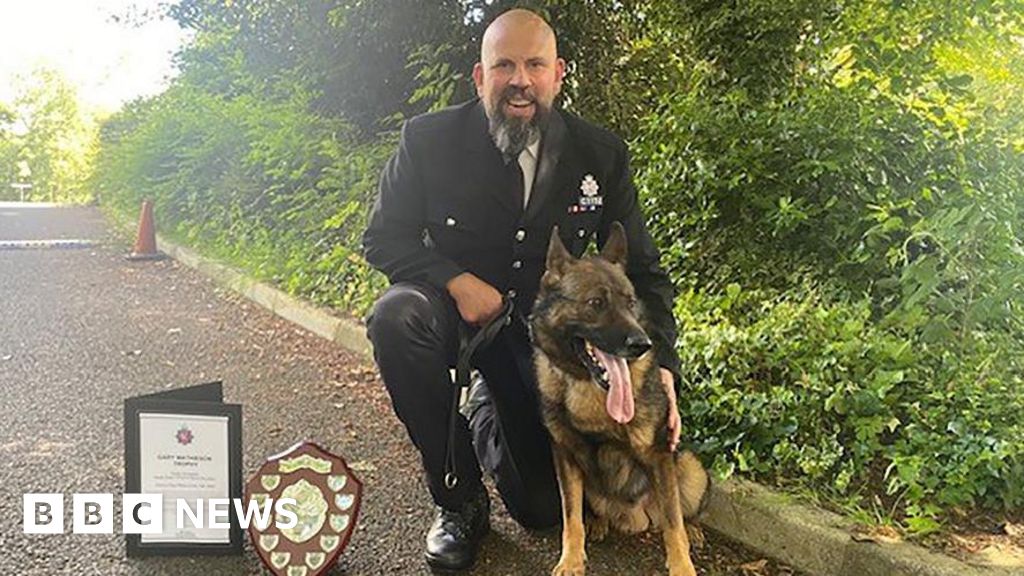 Veteran police dog handler 'honoured' to lift award - BBC News