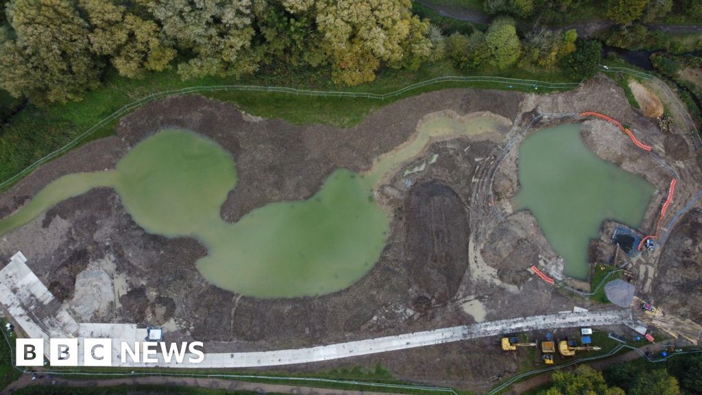 Wetlands set to protect Hogsmill River from pollution