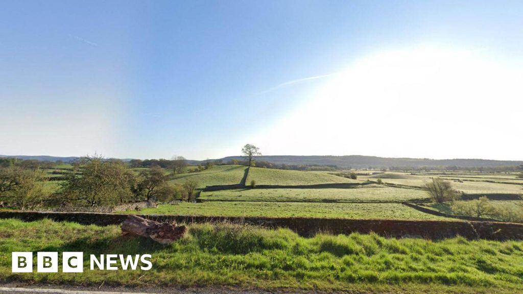 Sheep drown after being chased into Kendal river by dog