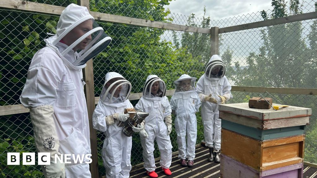 Devon school trains pupils to be 'mini beekeepers' - BBC News