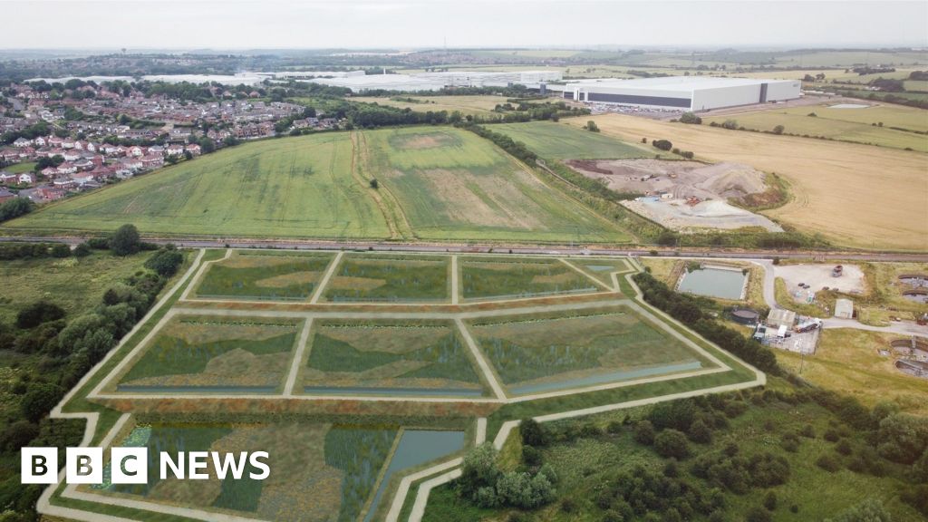 Wakefield wetland plan to cut down on sewage releases approved - BBC News