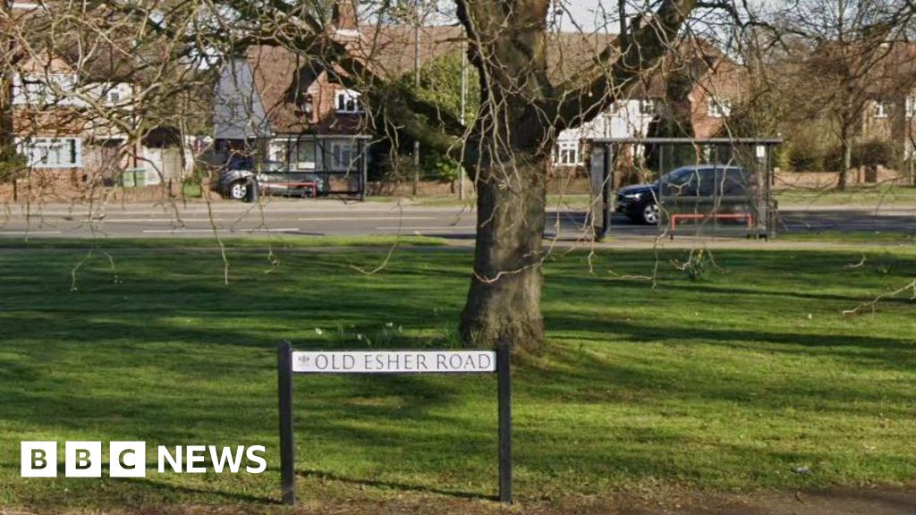 Surrey: Police appeal after man seriously injured in Hersham - BBC News