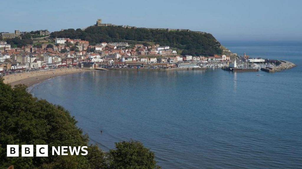 North Yorkshire mayoral election: What's the role and who is running ...