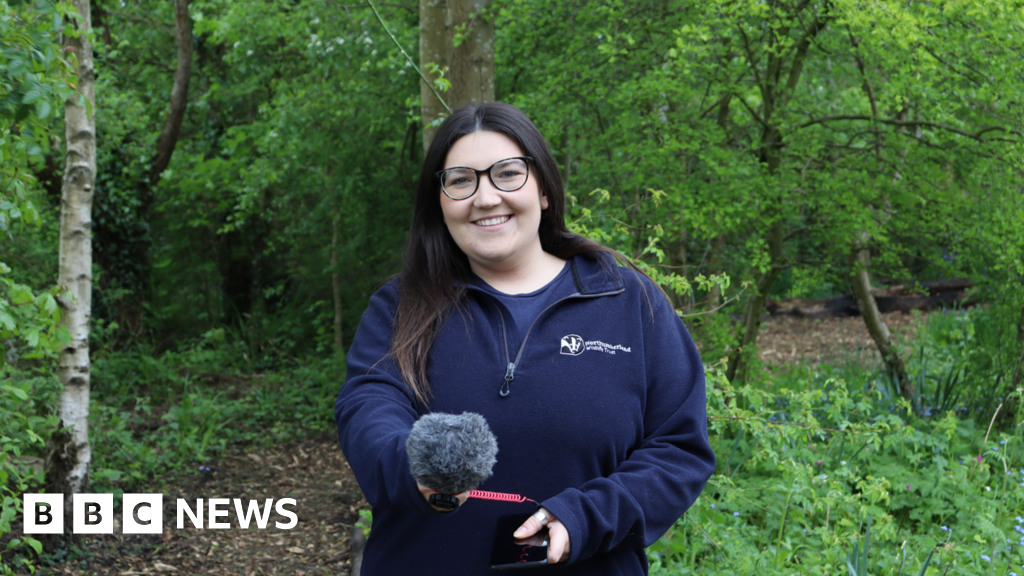Northumberland nature reserves to be immortalised in soundscapes