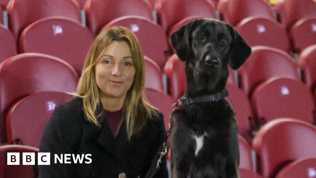 Saying goodbye is hard as a guide dog puppy raiser - BBC News