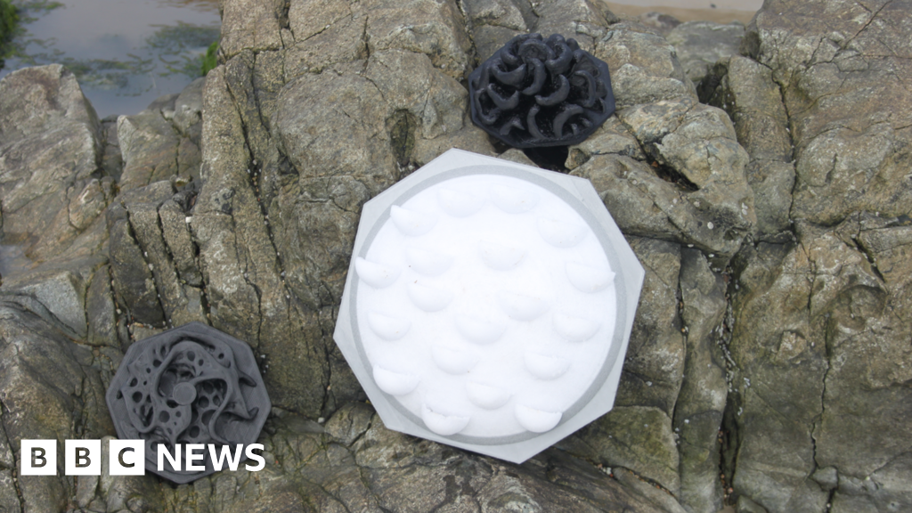 Students creating living sea walls with 3D printer - BBC News