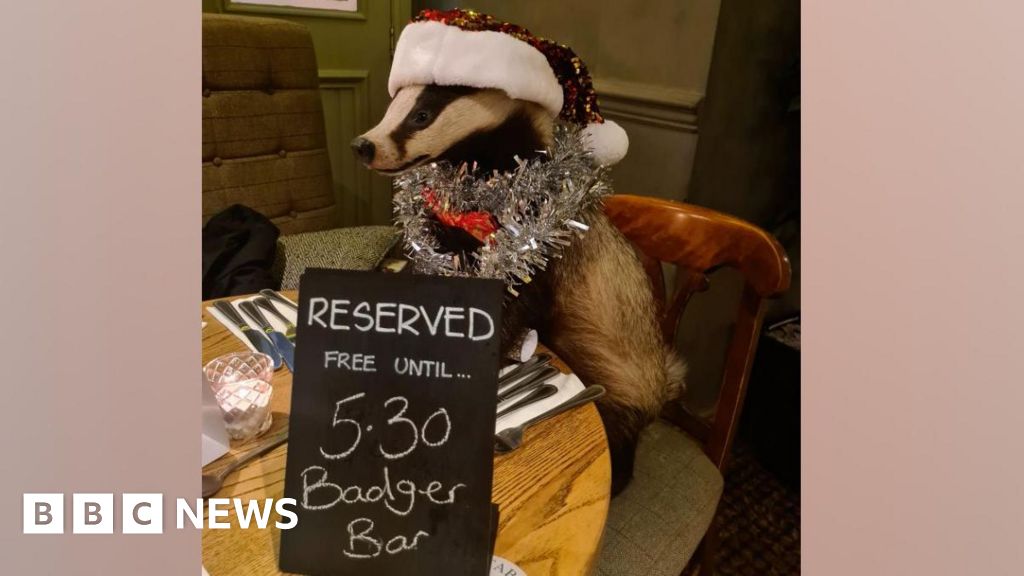 Rydal pub's missing Bertie the Badger mascot returns home