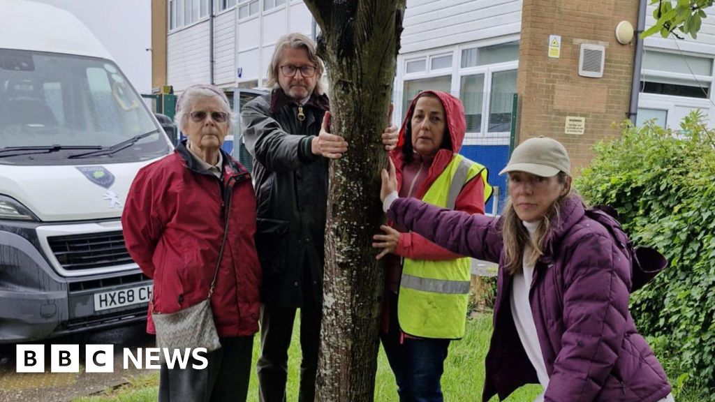 Wadhurst protesters occupy school to save trees from chop - BBC News