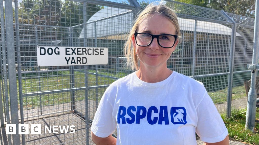 Block Fen RSPCA needs adopters to free up space for more dogs