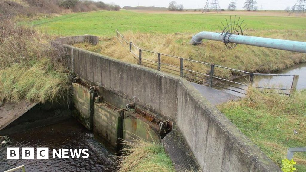 Plans submitted to restore Greatham Marsh - BBC News