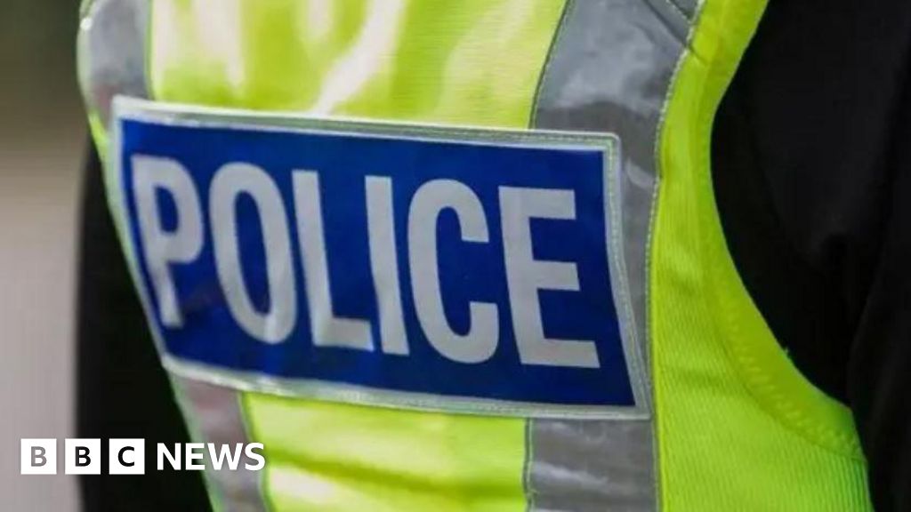 Owner sought after girl, 11, hurt in Stamford dog attack