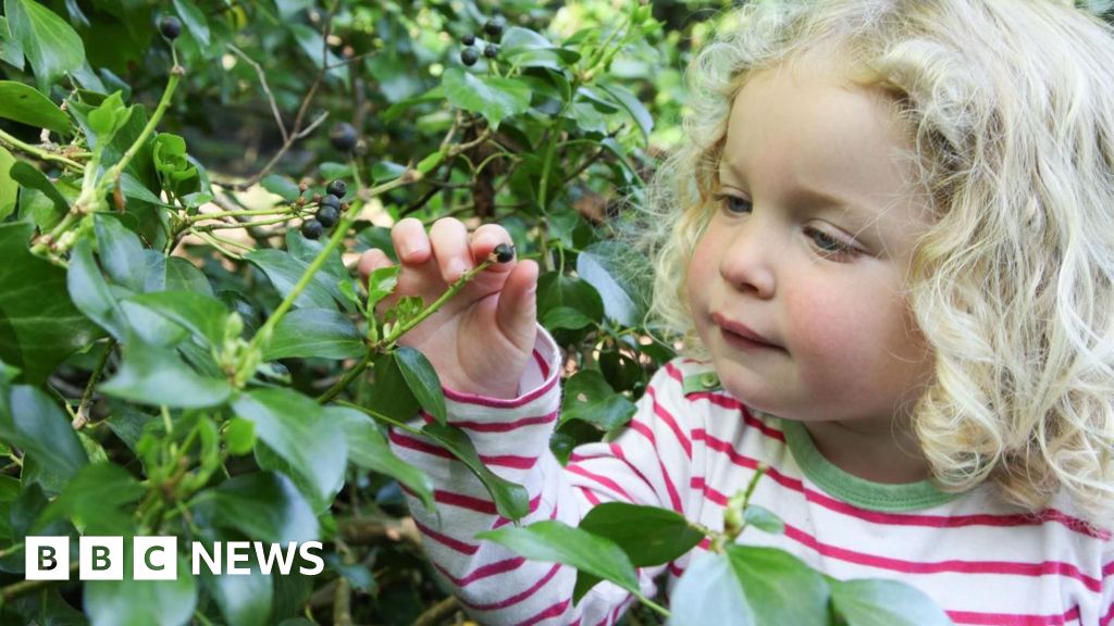 Wildlife charity awards encourage children to engage with nature - BBC News
