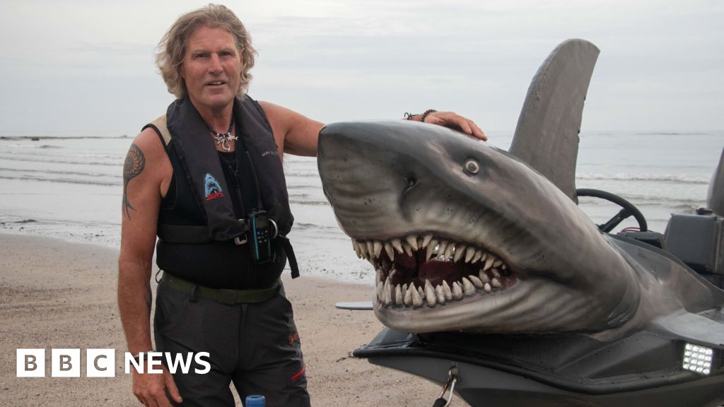 Great white shark boat spotted off Northumberland coast - BBC News
