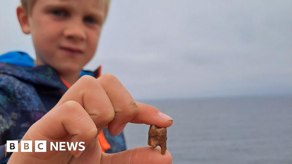 Boy's tooth find reveals historic burial mound on Lizard Point