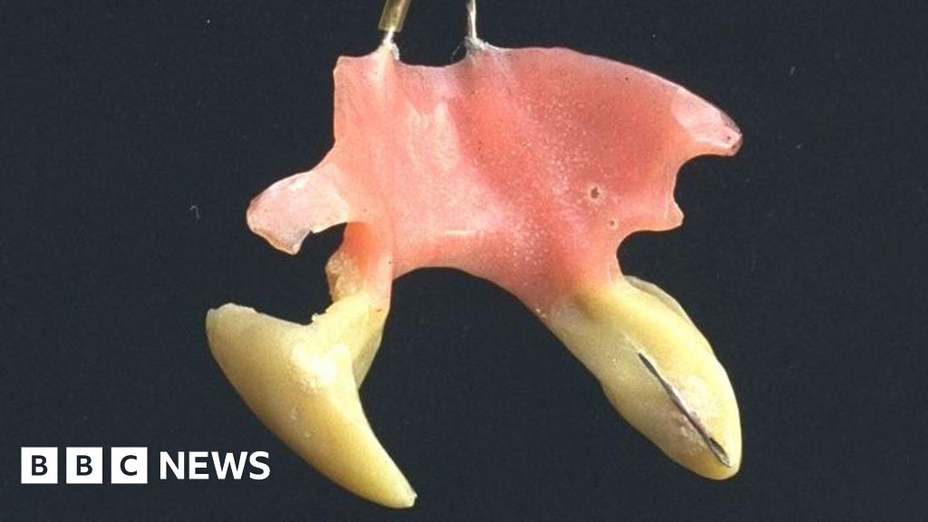 Bradford exhibition to feature Dracula's fangs and 'alien' head