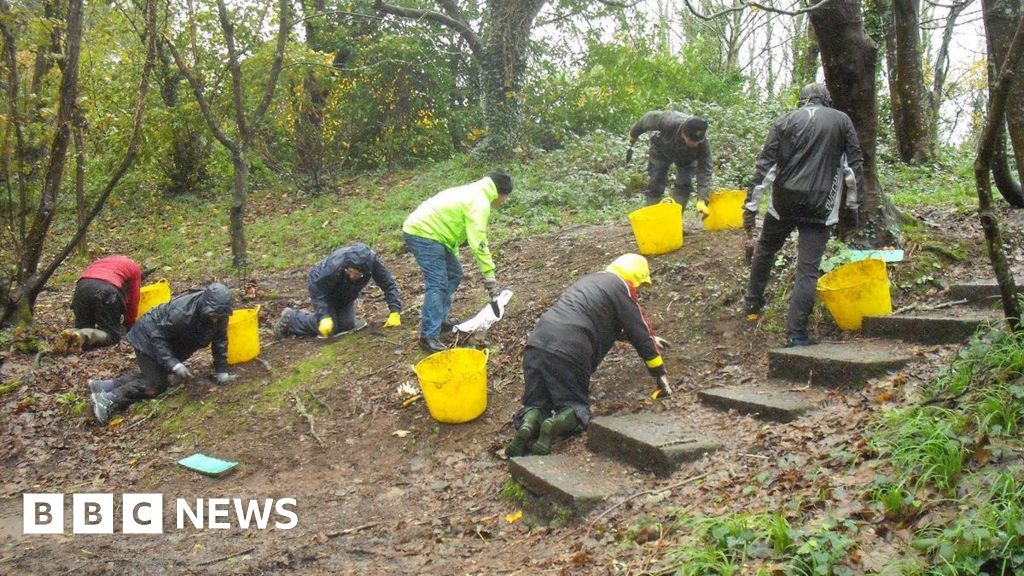 More than 10,000 stinking onions removed from Bluebell Woods