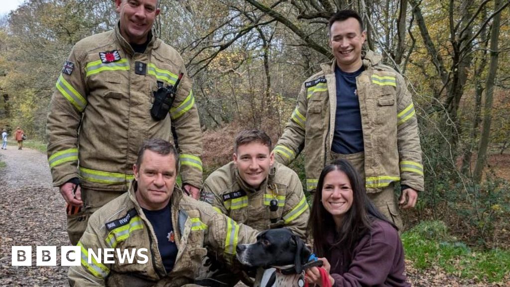 'Spooked' dog rescued after getting stuck in Epping Forest pipe